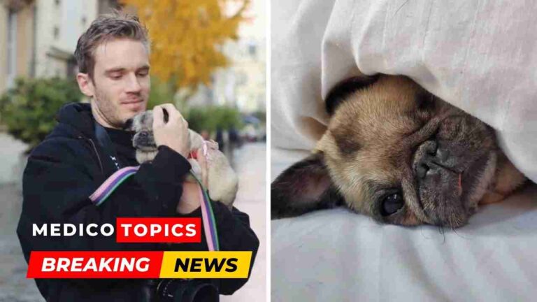 PewDiePie dog Maya Passed away