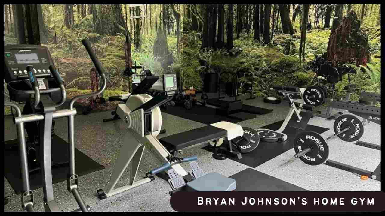 Bryan Johnson Anti aging Blueprint & Longevity - Analysis