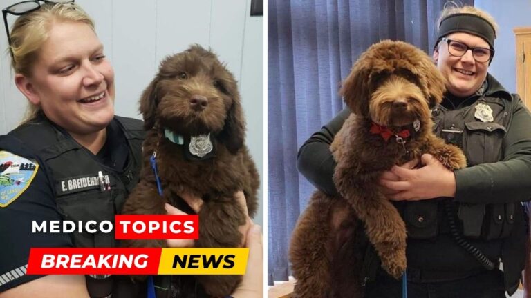 Emily Breidenbach: Beloved Chetek police officer killed in Wisconsin ...